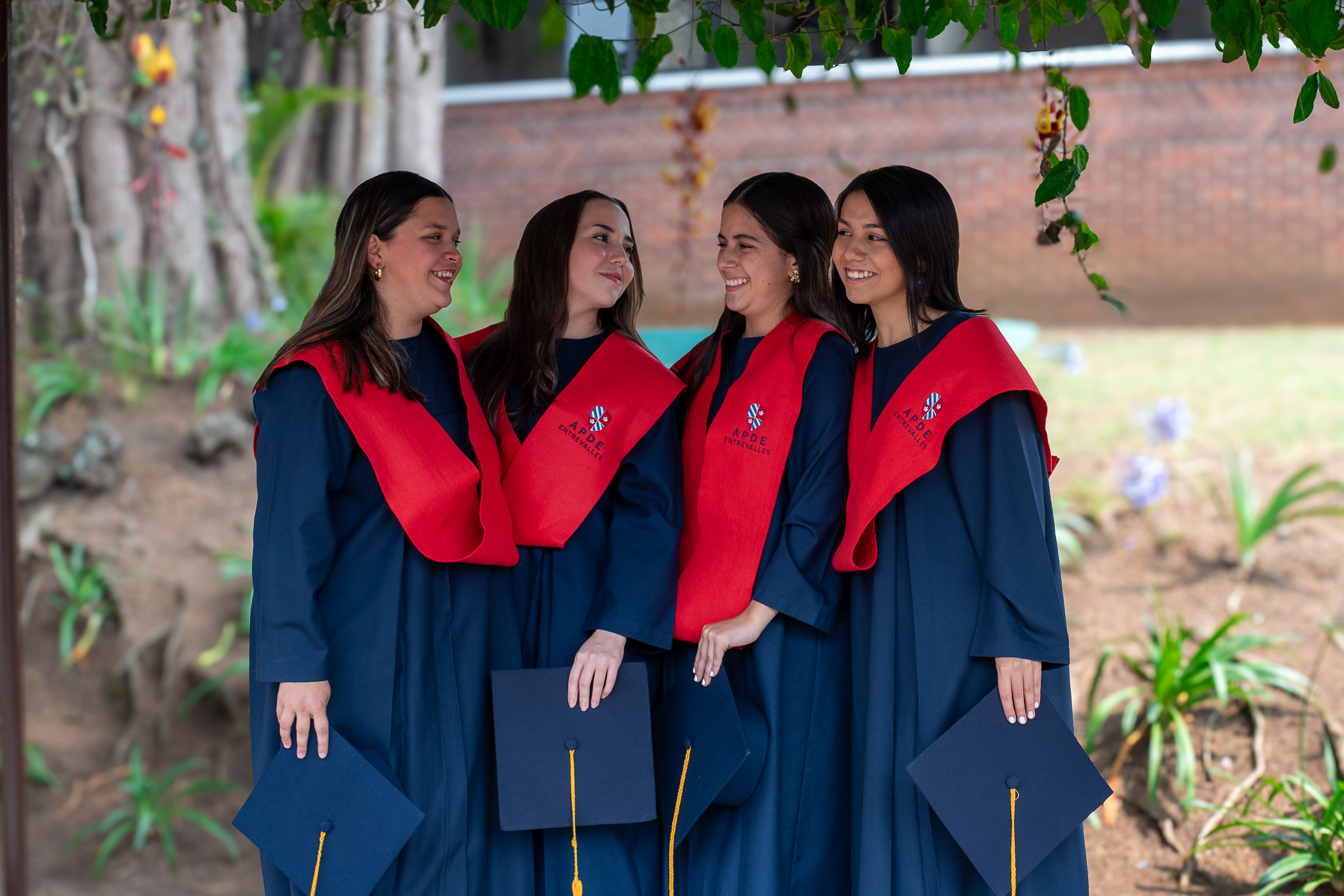 Elección de carrera universitaria